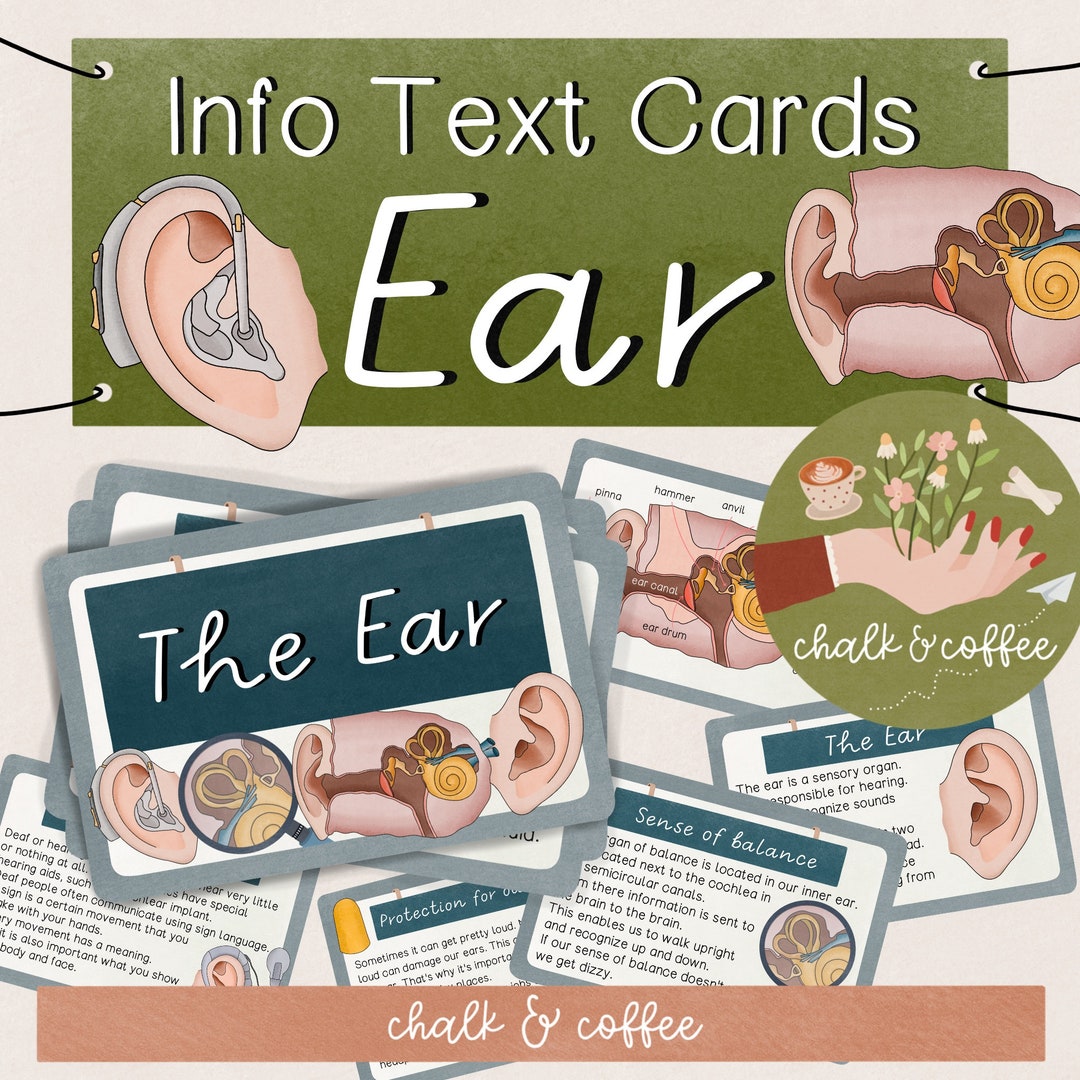 Ear Reading Cards PRINTABLE Info Knowledge-cards Hearing Senses Human ...