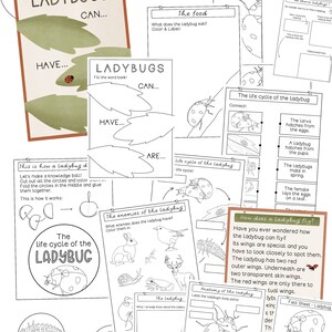 Ladybug Science Unit PRINTABLE Worksheets, Crafts, Experiments, Art ...