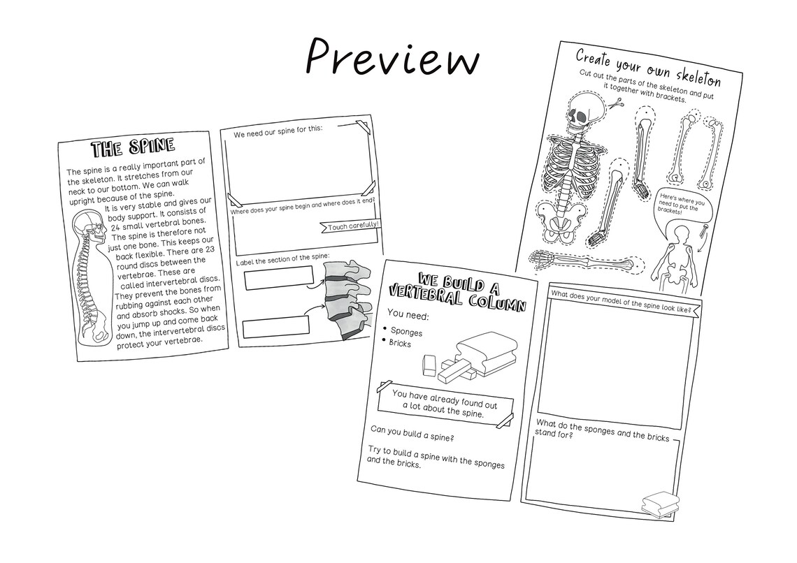 Skeleton Booklet Science Unit - Self Study Human Body Resource, Spine ...