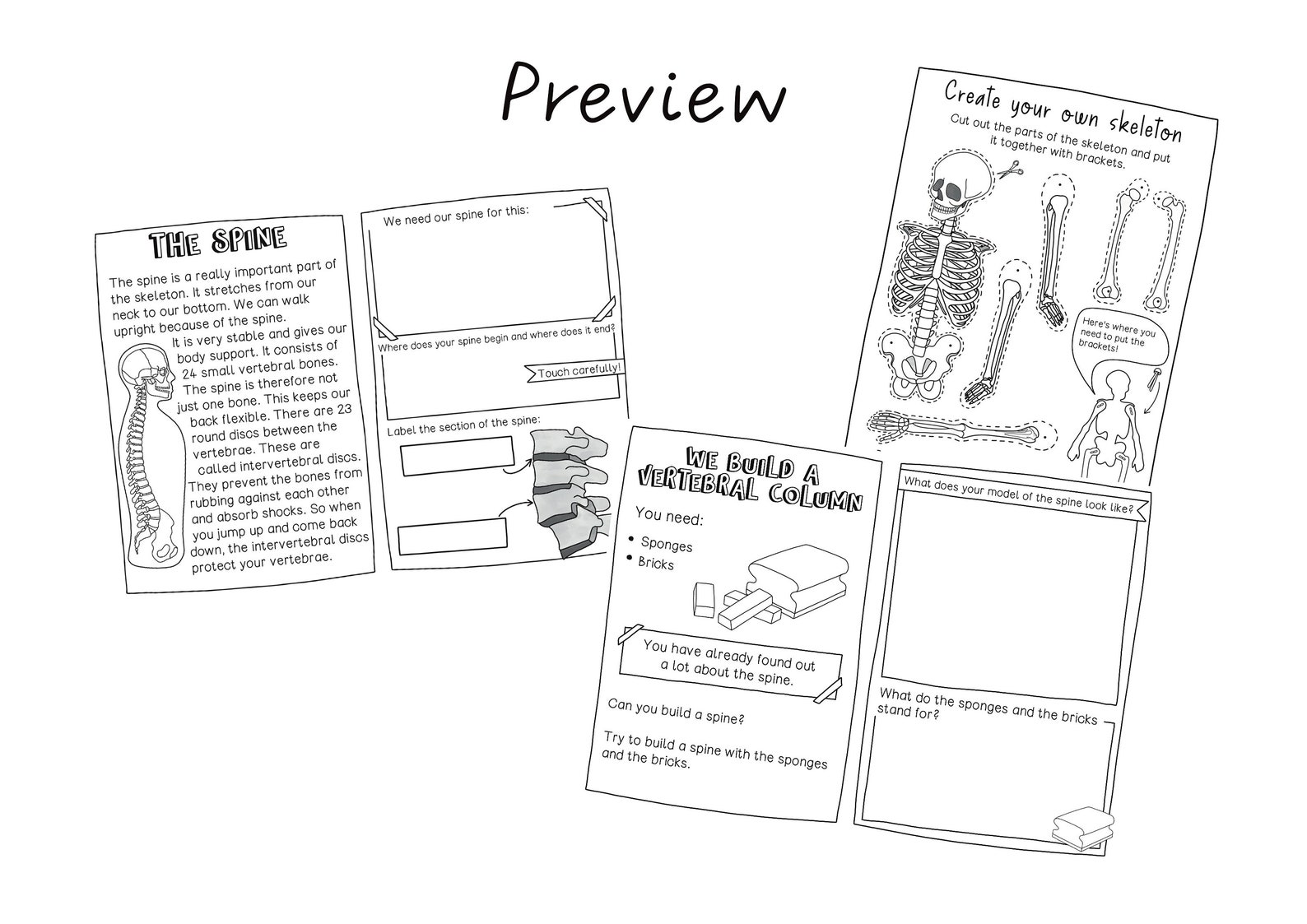 Skeleton Booklet Science Unit - Self Study Human Body Resource, Spine ...