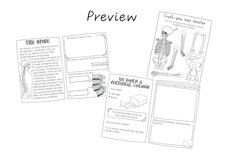 Skeleton Booklet Science Unit - Self Study Human Body Resource, Spine ...