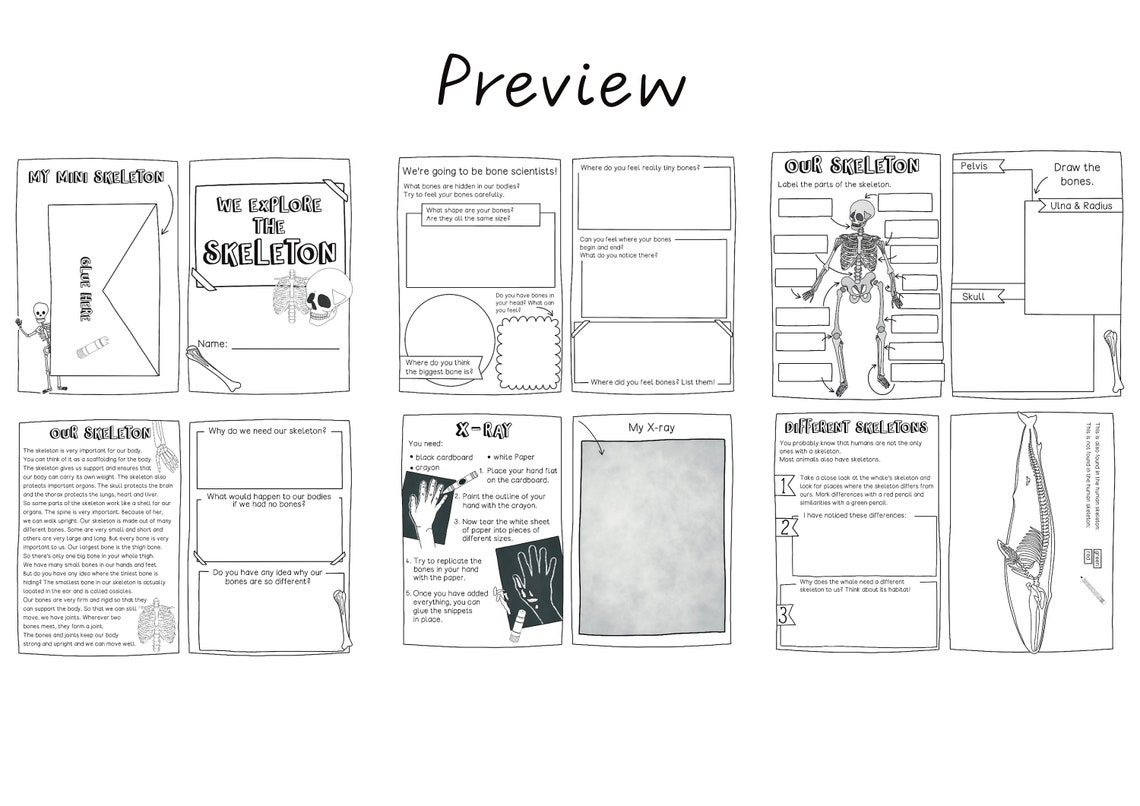 Skeleton Booklet Science Unit - Self Study Human Body Resource, Spine ...