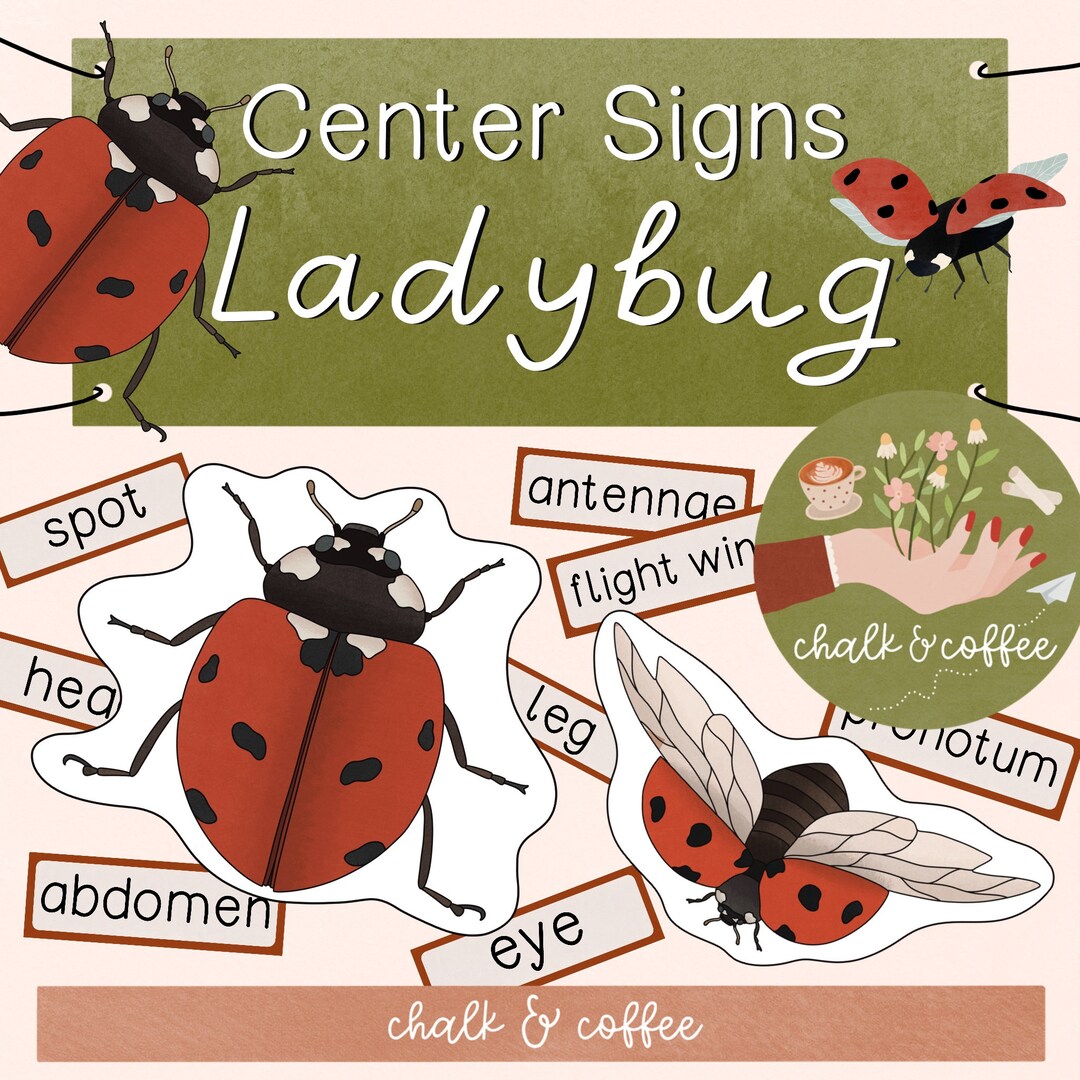 Ladybug Center Signs Anatomy of Ladybug Science Insects Vocabulary ...