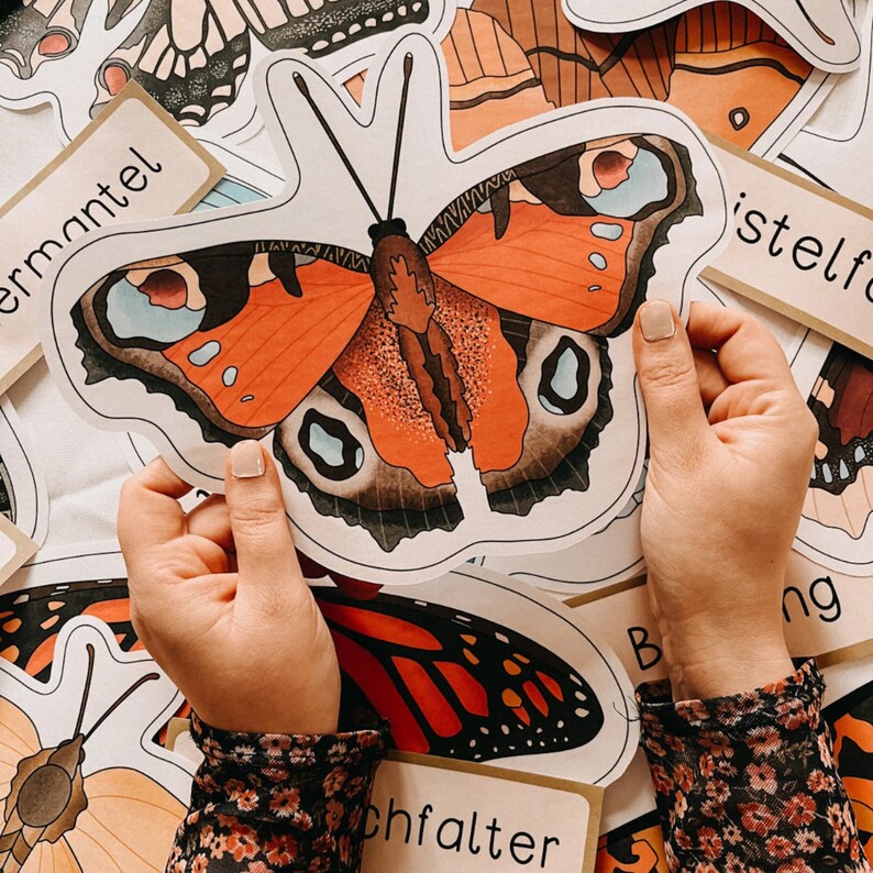 Butterfly Center Signs - Types of Butterflies Science Insects ...