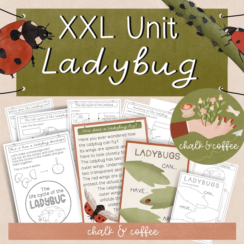 Ladybug Science Unit PRINTABLE Worksheets, Crafts, Experiments, Art ...