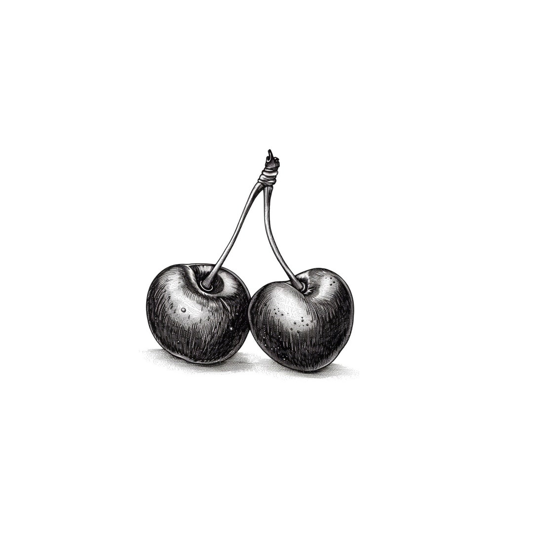 Ornate Cherries: Realistic Black and White Drawing, Hand Drawn Details ...