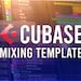 Cubase 13 Mixing Template - Etsy