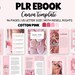 PLR Ebook Template Pink Theme, PLR Canva Template, PLR Ebook, Plr Digital Product, Commercial ...