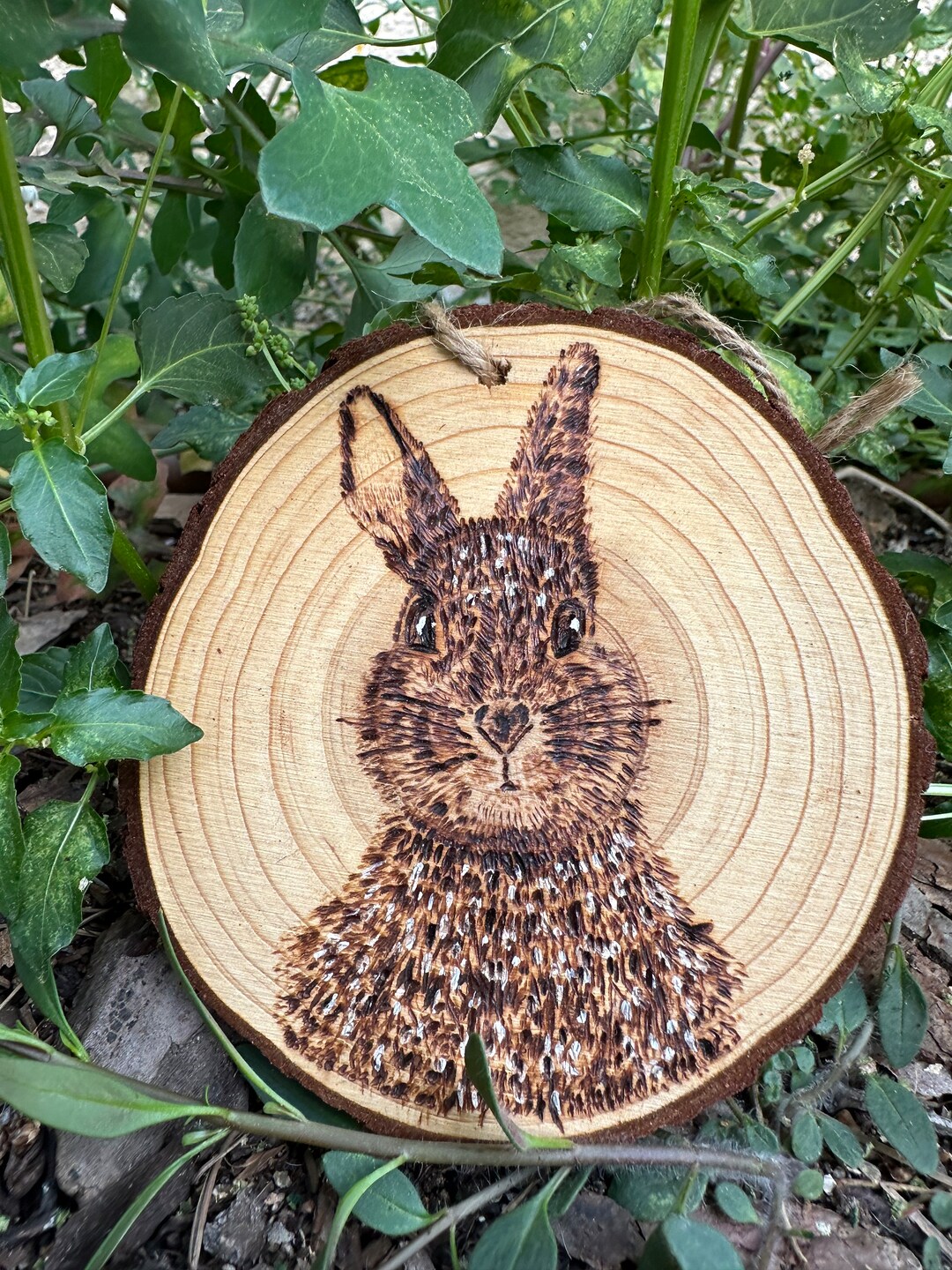 A Rabbit Portrait Featuring Hand-burnt Artwork on a White Pine Wood ...