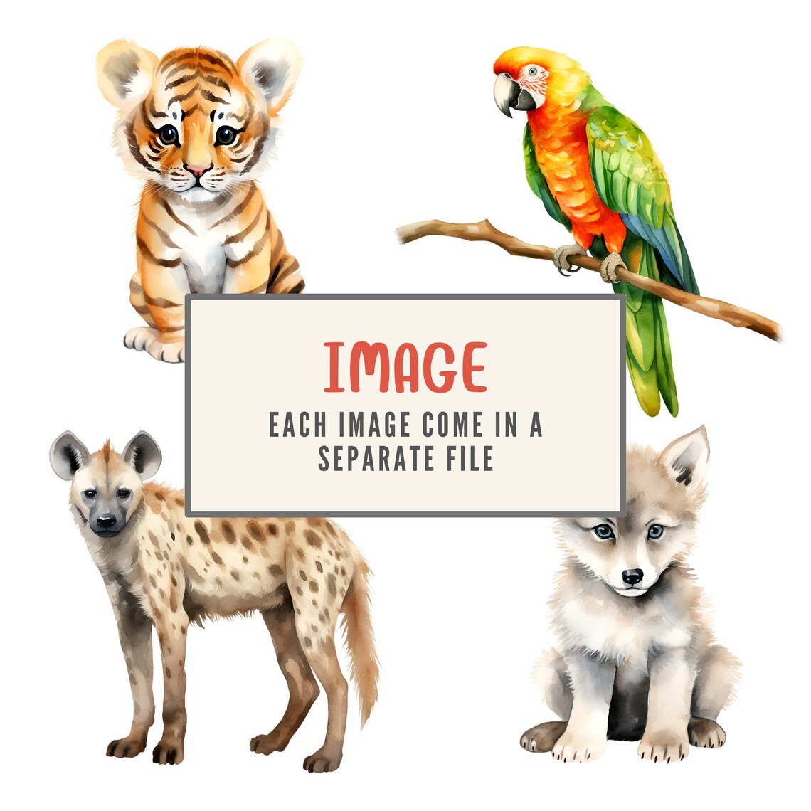 Watercolor Safari Animals PNG Files, Safari Family Clipart, Safari Baby ...