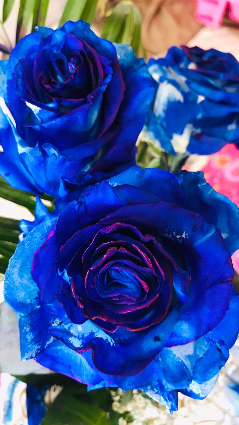 Blue Rose Wallpaper - Etsy