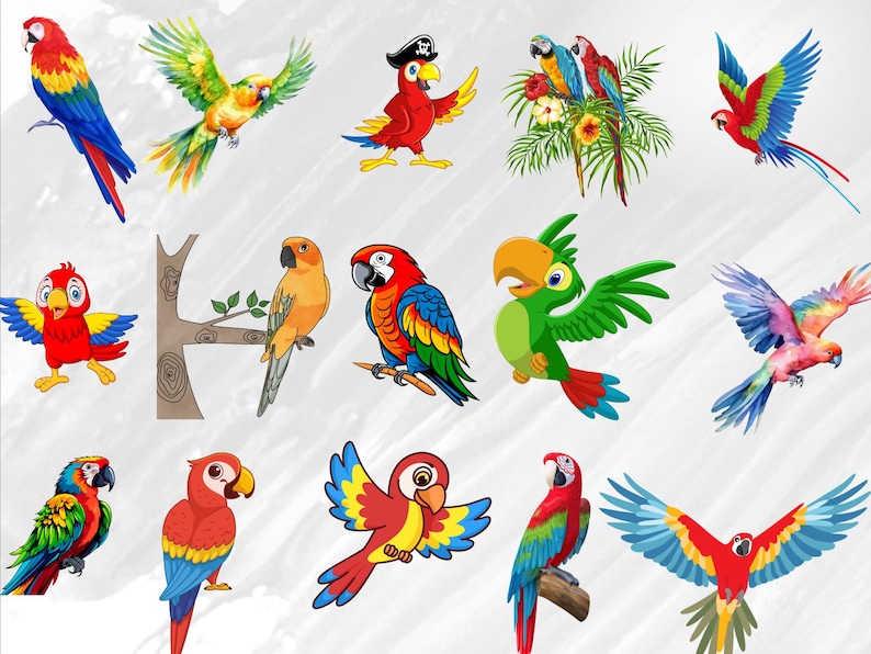 Parrot SVG Bundle, Parrot Sv, Parrot Clipart, Parrot Silhouette Bundle ...