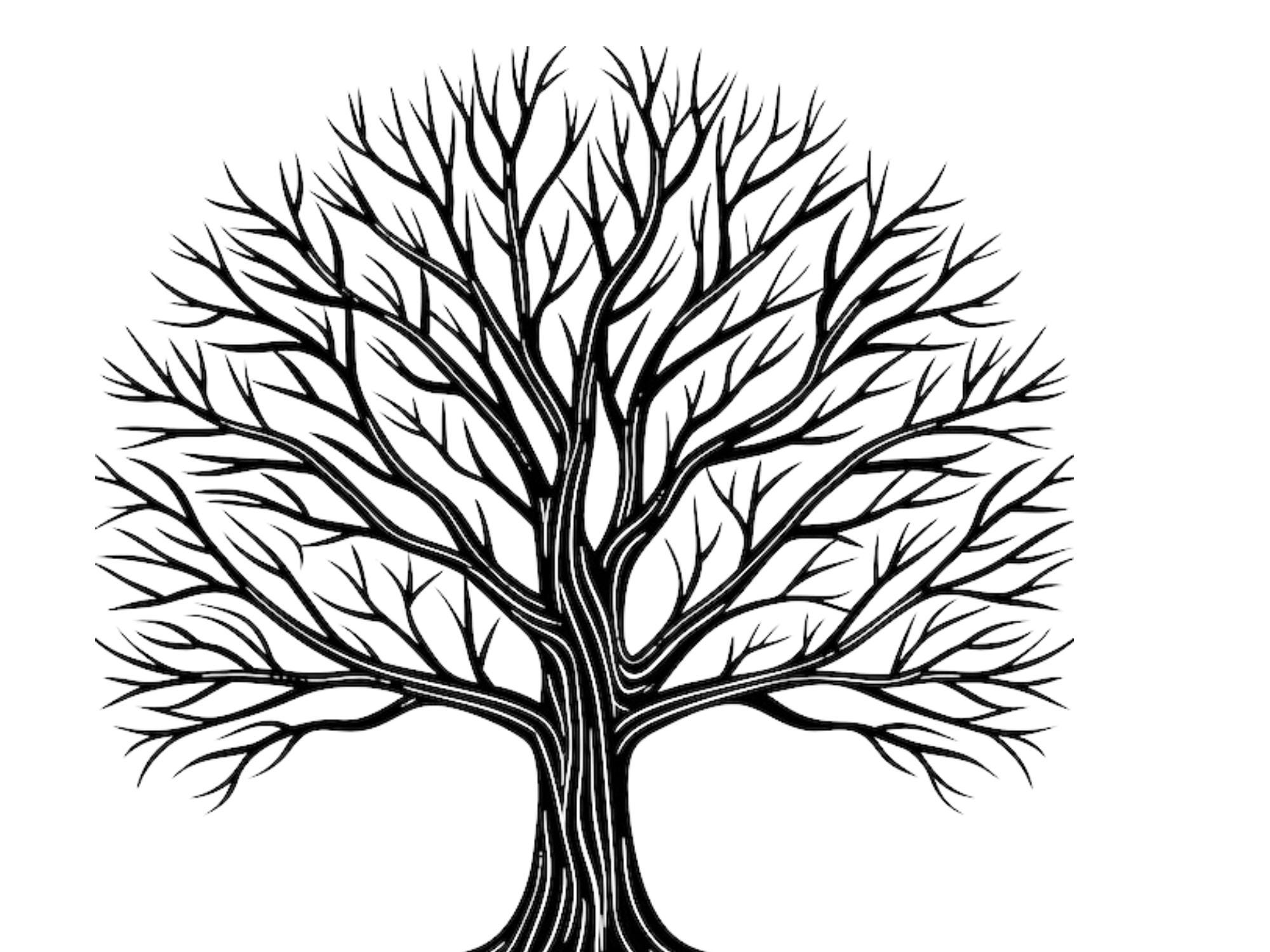 Tree Svg Bundle, Tree Silhoute Svg Bundles, Tree Cut Svg Bundles, Tree ...