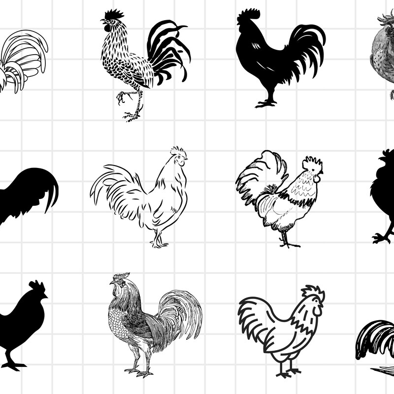 Rooster Svg - Etsy