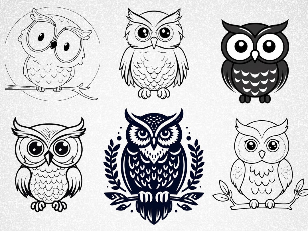 Owl Svg Bundles, Owl Design Files, Owl Cliparts, Owl Png, Floral Owl ...