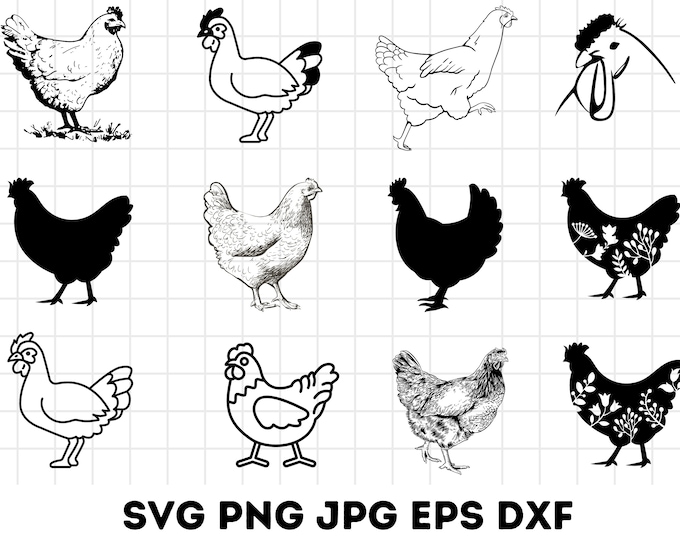 Chicken Svg Bundle Hand Drawn, Chicken Svg, Rooster Svg, Chicken Svg ...
