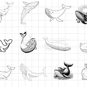 Whale SVG Bundle, Whale Dxf, Whale Png, Whale Eps, Whale Vector, Whale ...