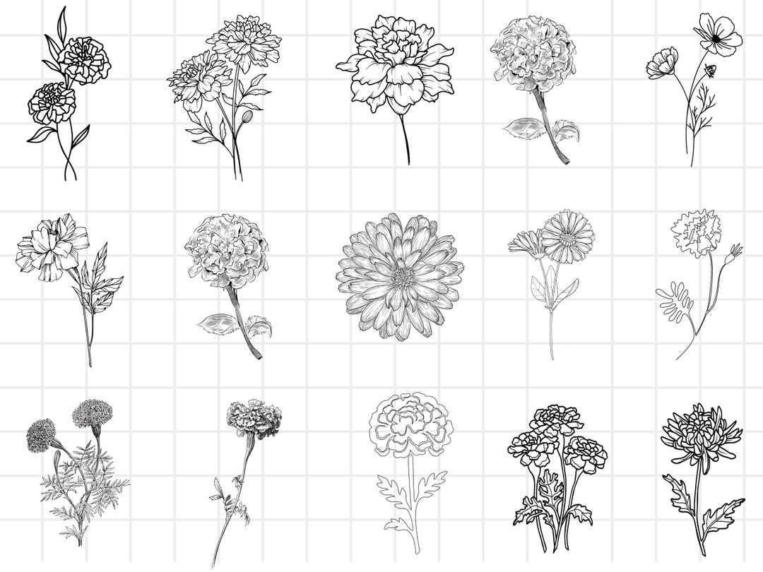 Marigold SVG Bundle, Marigold Vector,marigold Cut Files, Marigold ...