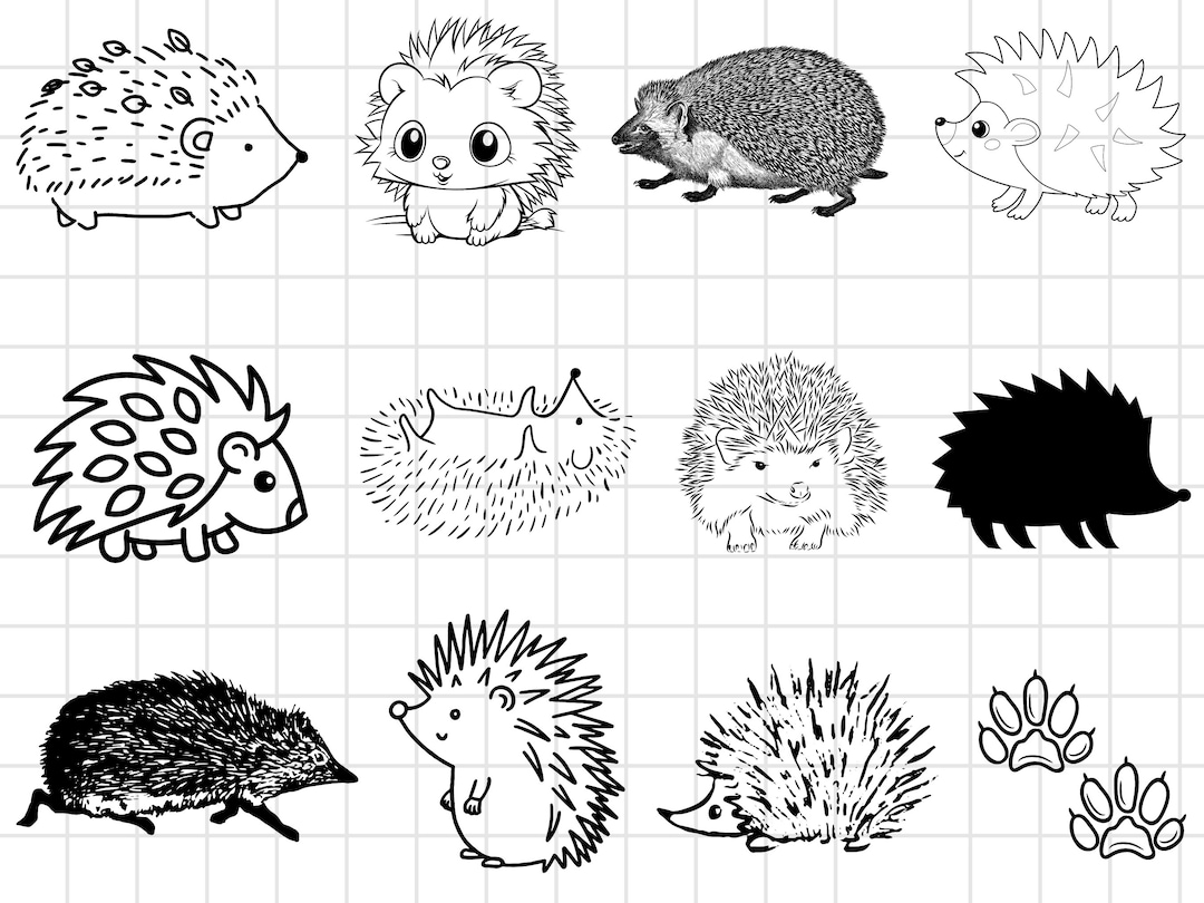 Hedgehog Svg Bundle, Hedgehog Svg, Hedgehog Clipart, Hedgehog Cut Files ...