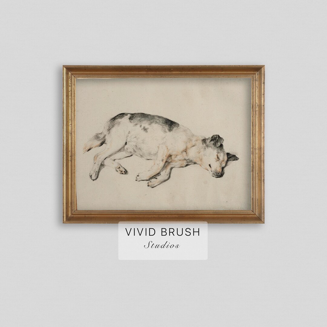 1600s Dog Study, Printable Vintage Animal Art, Antique Pet Portrait ...