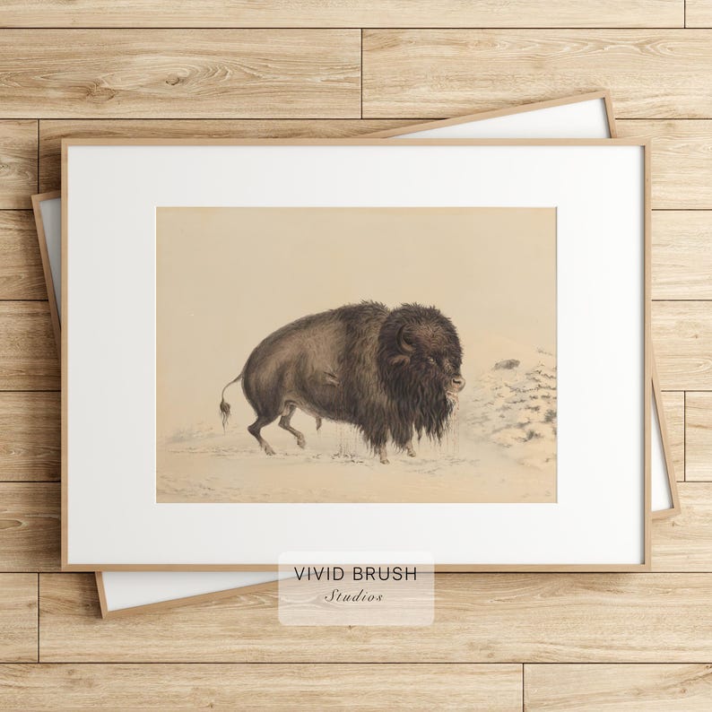 Vintage Buffalo Lithograph, 1800s Western Wildlife Printable Wall Art ...