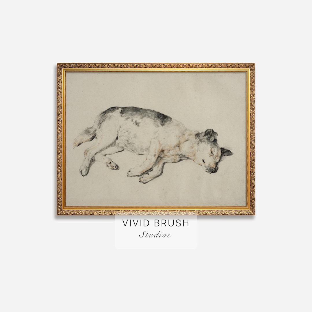 Antique Dog Drawing, Vintage Pet Sketch From 1600s, Printable Canine ...