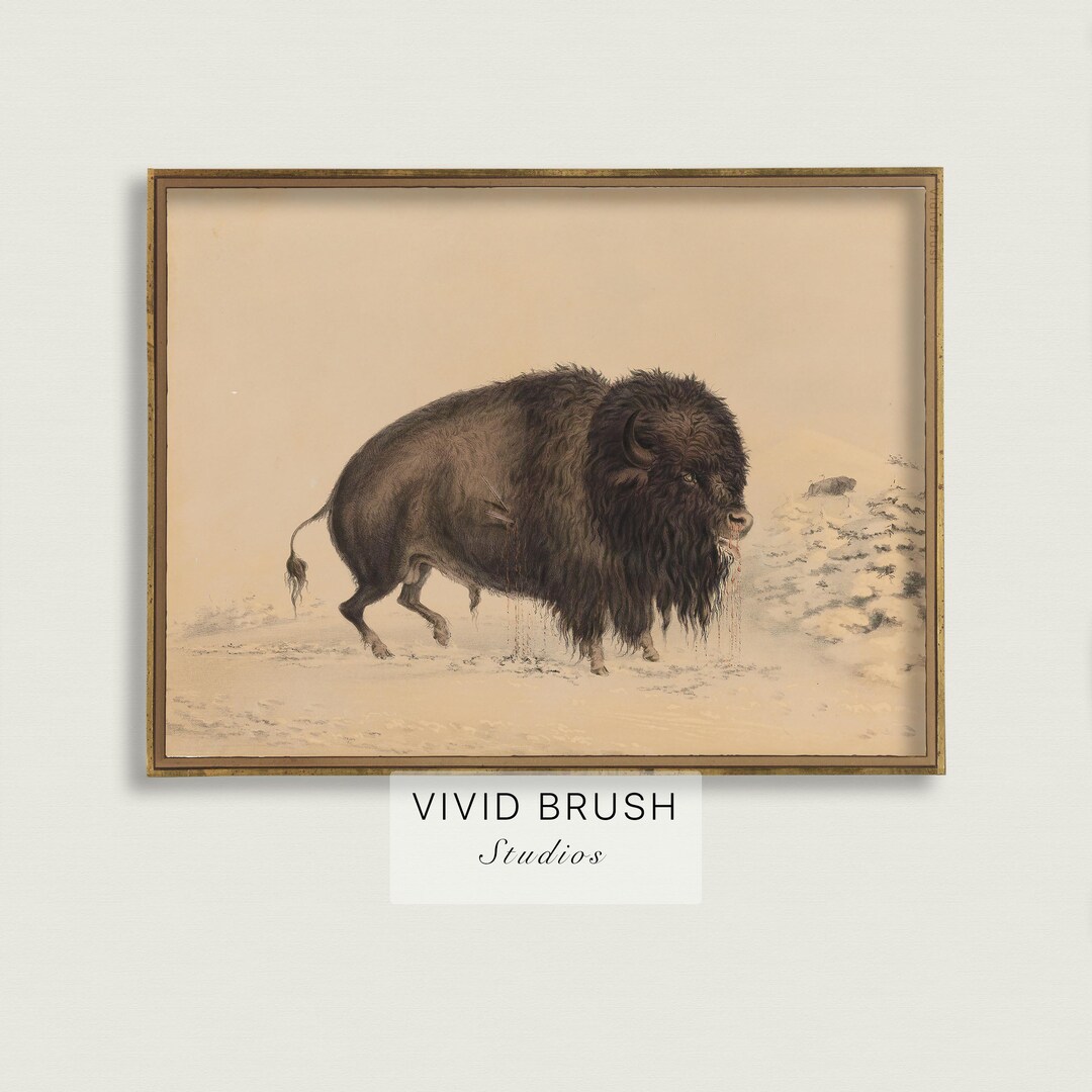 Vintage Buffalo Lithograph, 1800s Western Wildlife Printable Wall Art ...