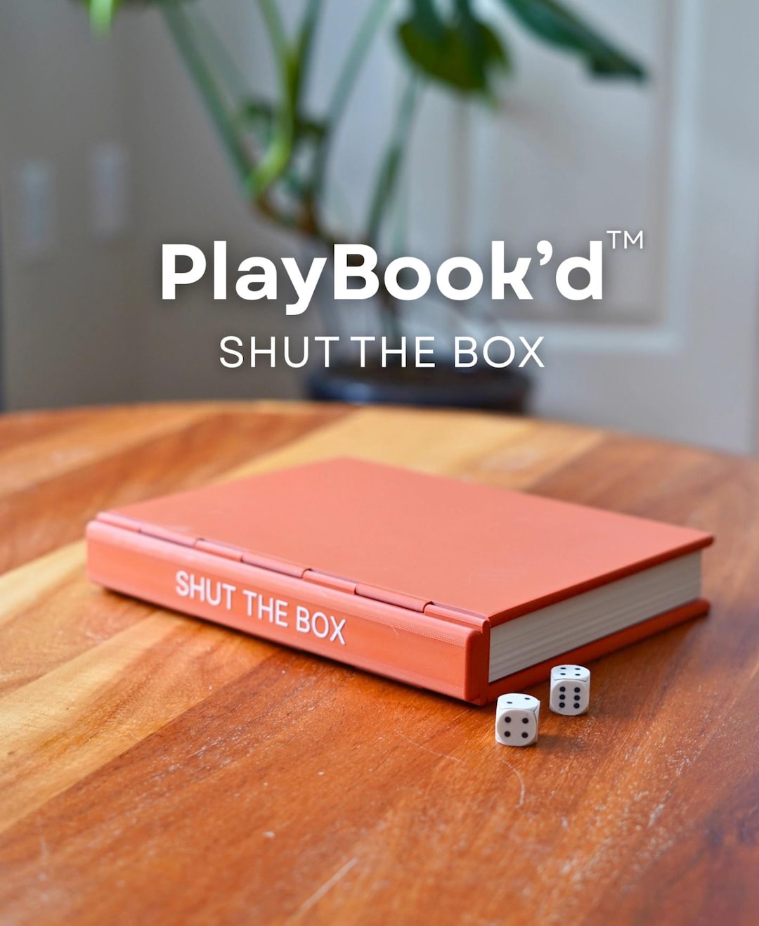 Playbook'd Shut the Box Dice Game – Book Style Travel Board Game - Etsy