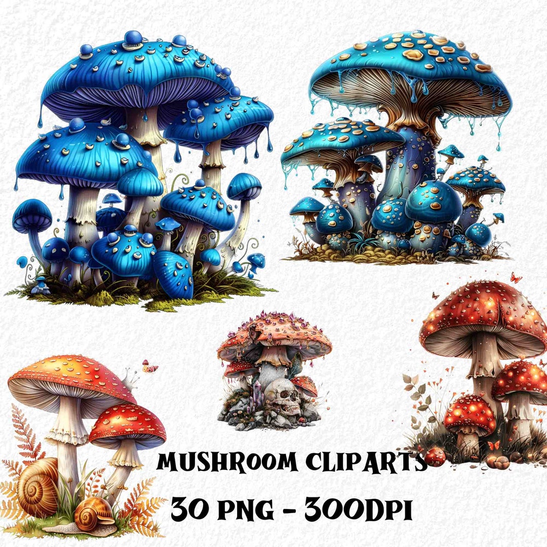 Fantasy Mushroom Cliparts Bundle High Quality Mushrooms Clipart Set ...