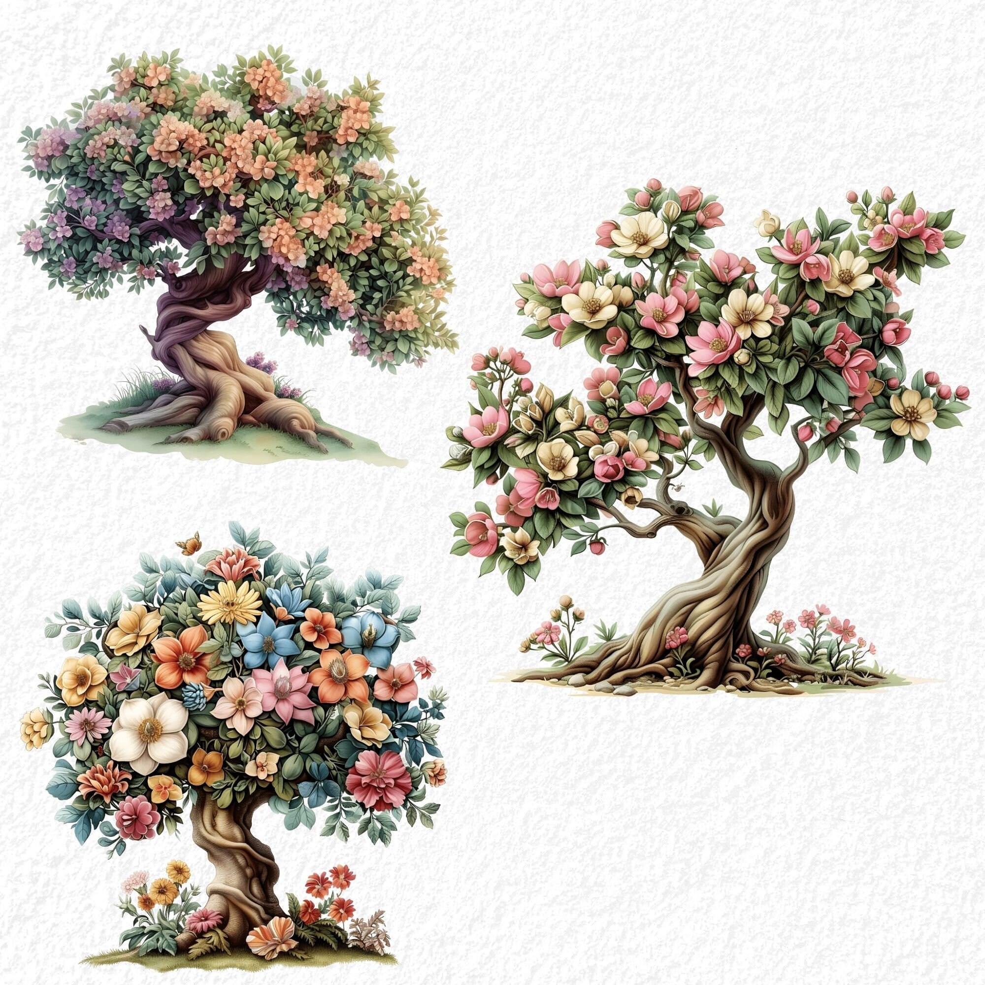 Spring Trees Clipart Bundle High Quality Blossom Trees Clipart Set ...