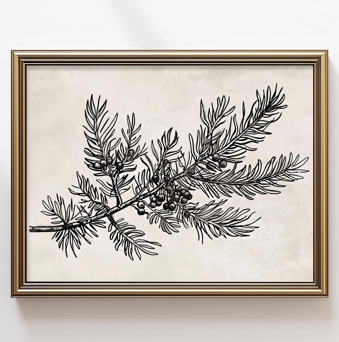 Antique Yew Branch Sketch Art, Vintage Botanical Pencil Art, Printable ...