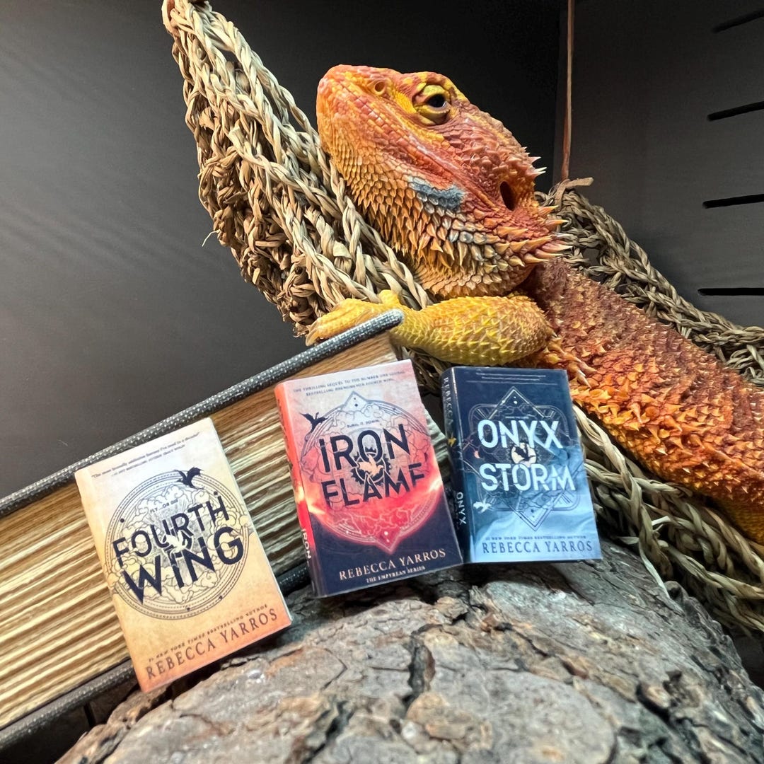 Fourth Wing Trilogy - Mini Book Magnets (3 Book Bundle) - Etsy