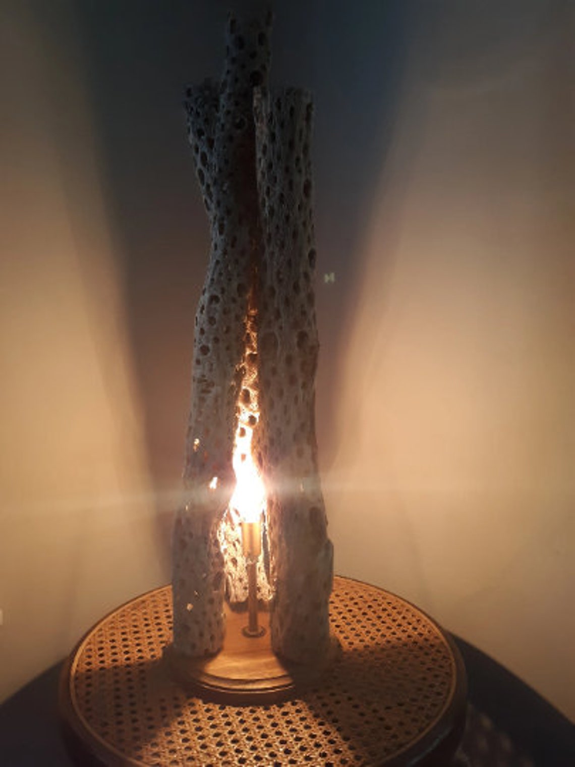 Cactus Skeleton Cholla Wood Lamp - Etsy