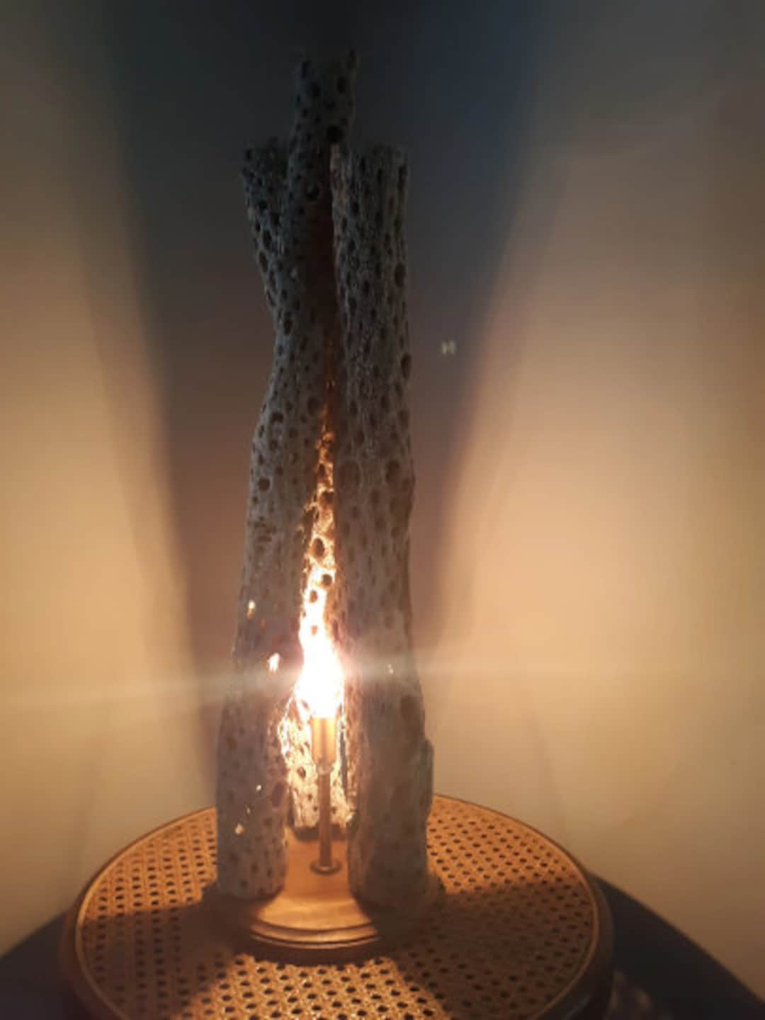 Cactus Skeleton Cholla Wood Lamp - Etsy