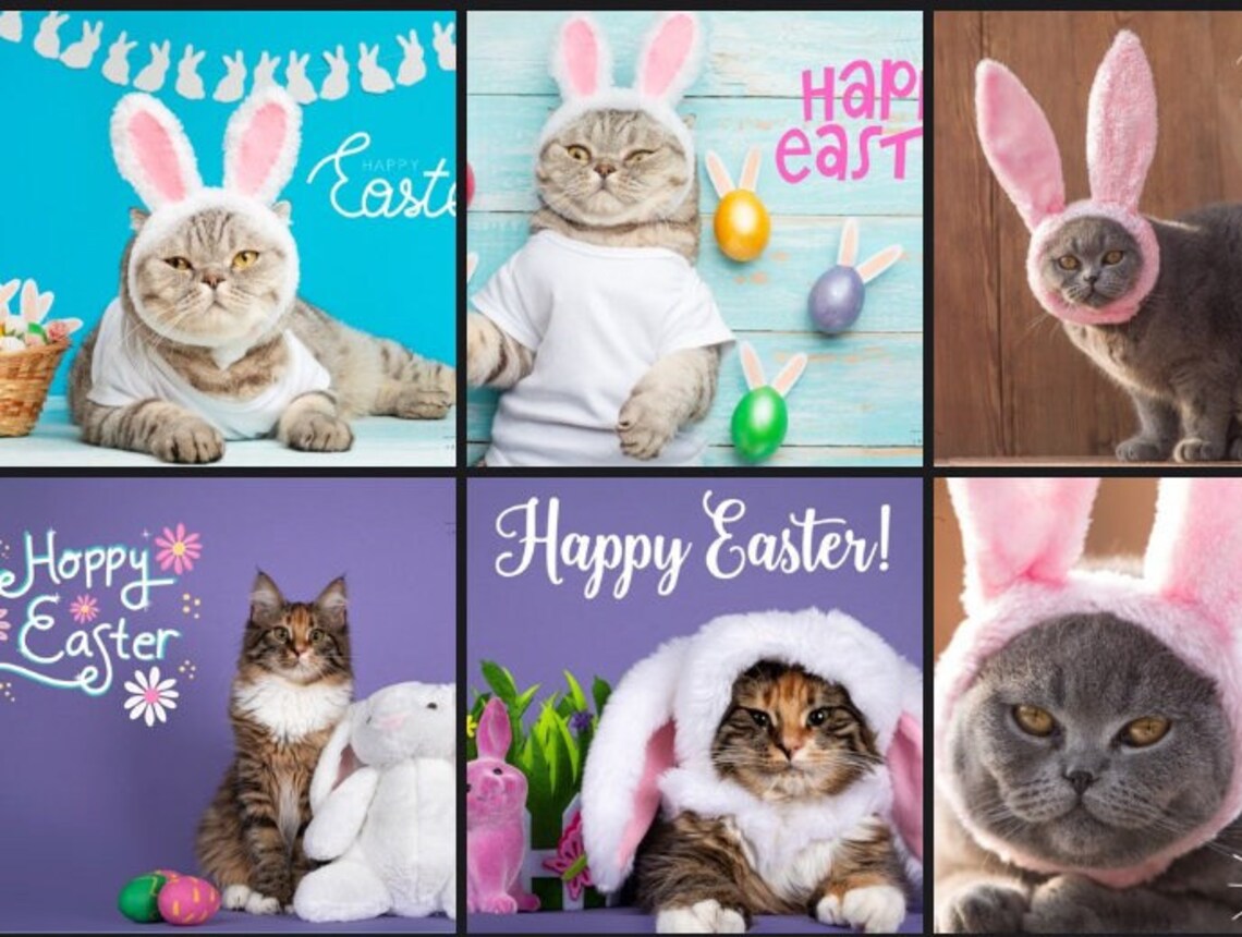 10 Cat Easter Holiday Digital Cards - Etsy