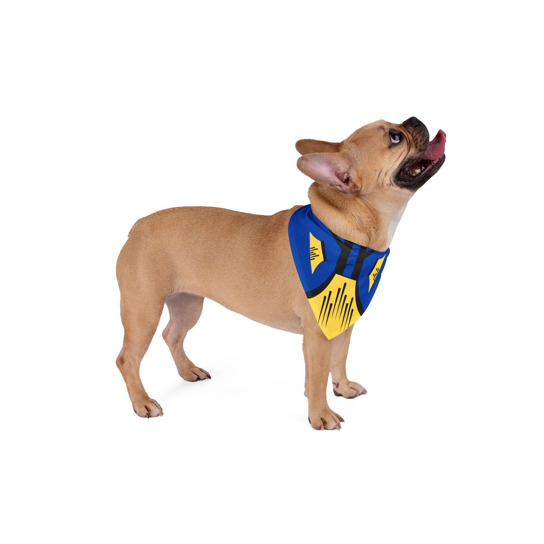Dory Dog Costume - Finding Nemo and Dory Inspired Pet Bandana Outfit ...
