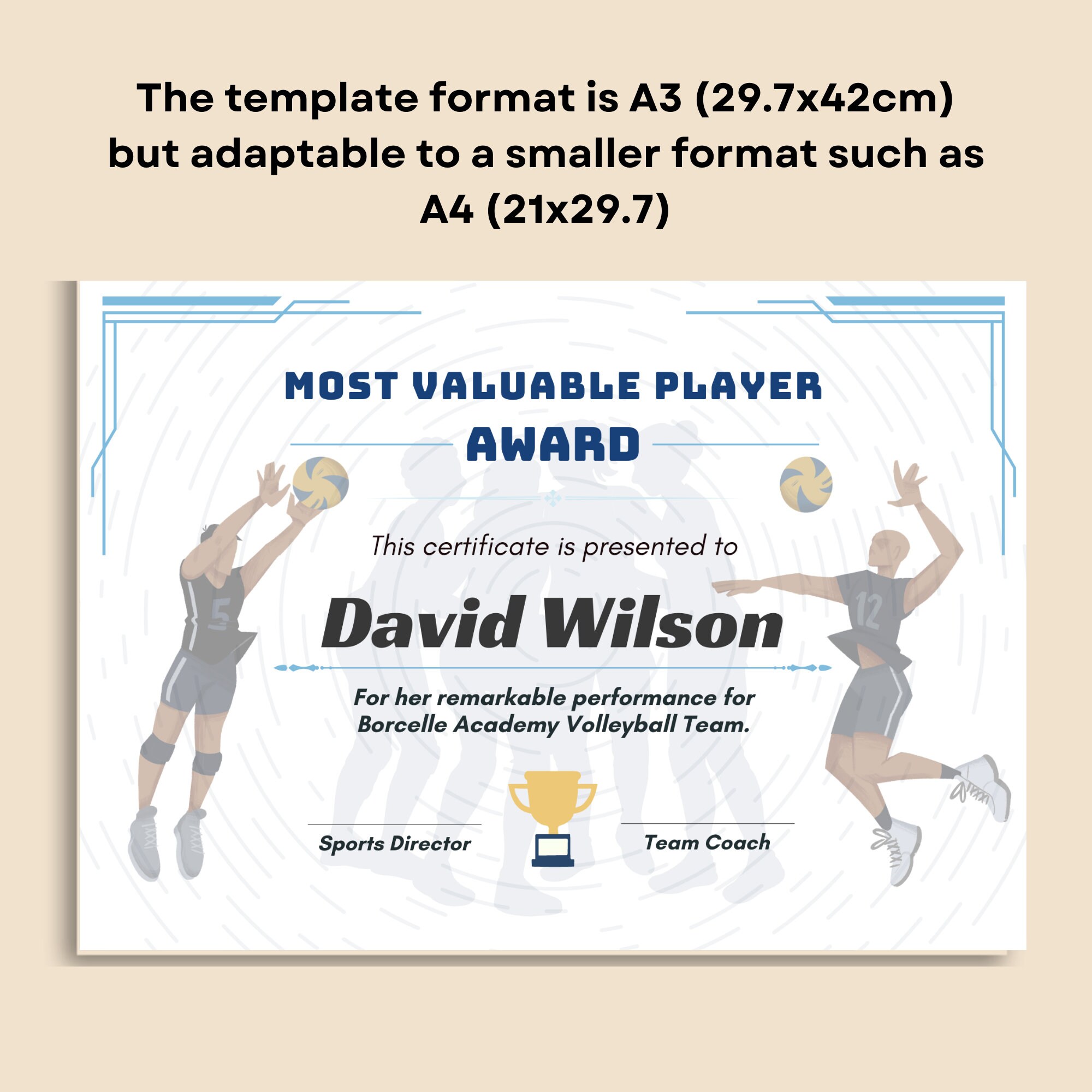 Editable Volleyball Award, Volleyball Certificate Template, Award ...