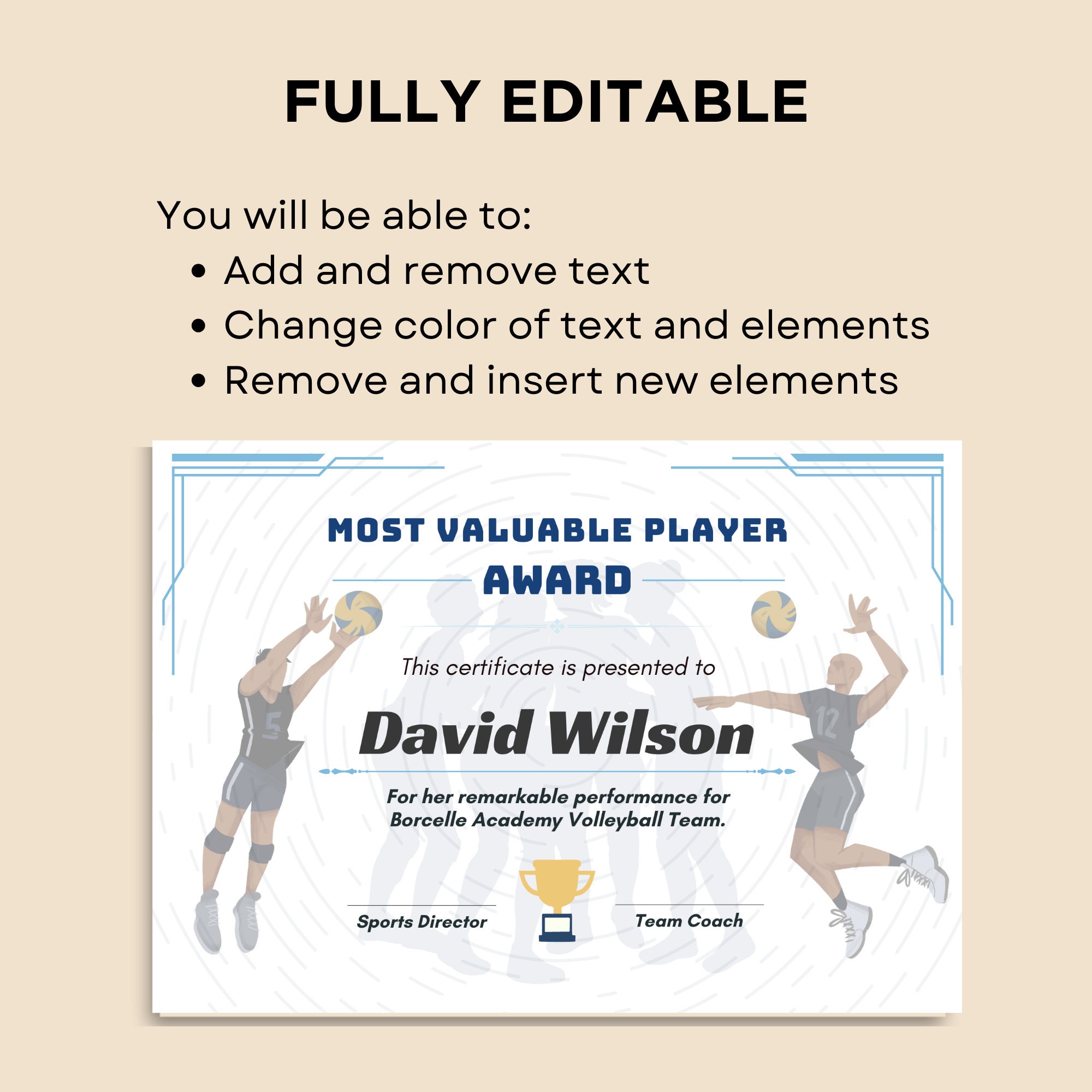 Editable Volleyball Award, Volleyball Certificate Template, Award ...