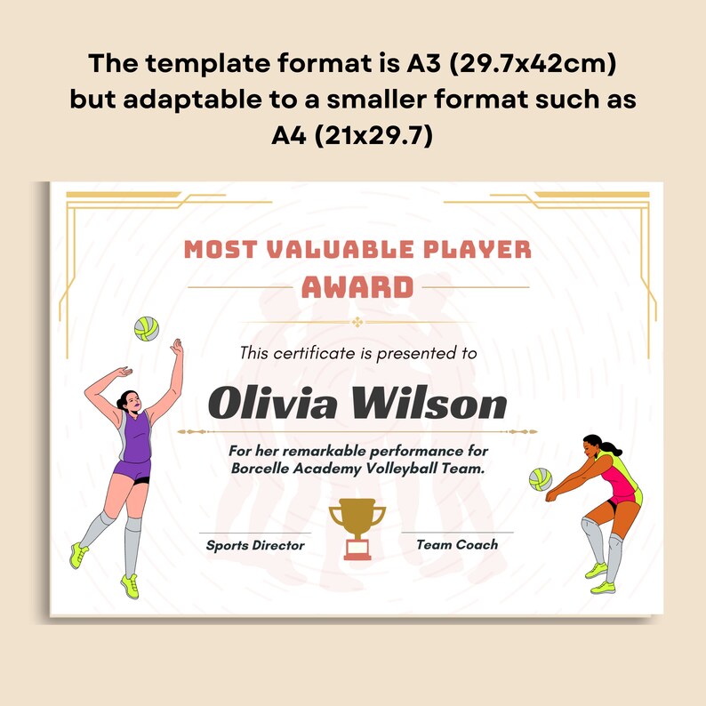Editable Volleyball Certificate, Volleyball Award Template, Award ...