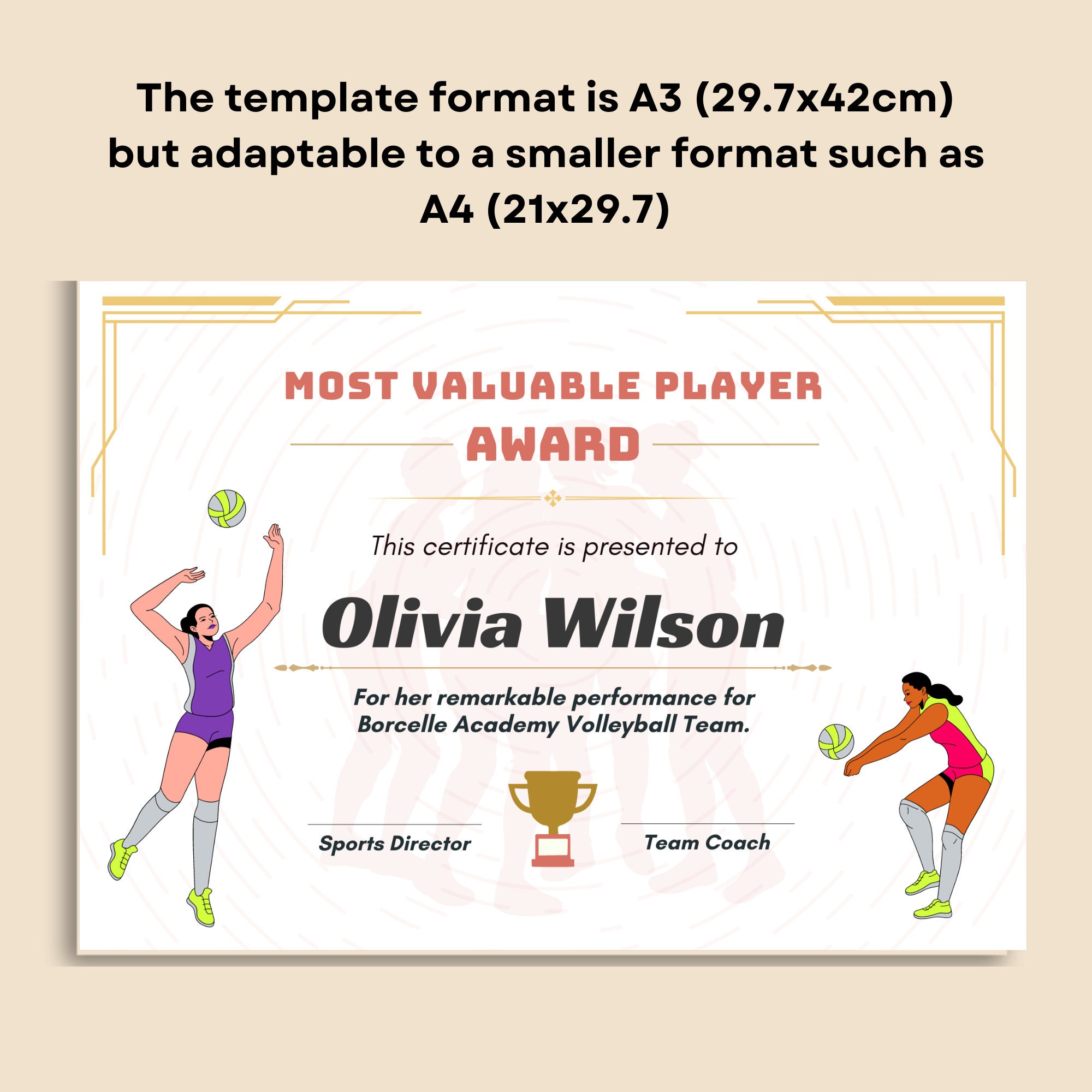 Editable Volleyball Certificate, Volleyball Award Template, Award ...