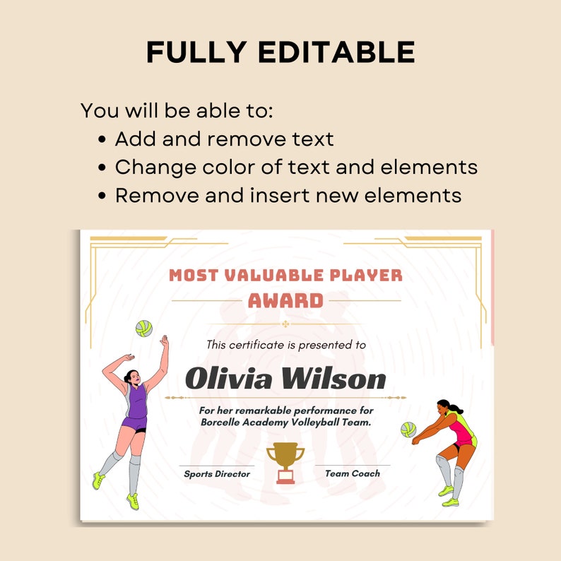 Editable Volleyball Certificate, Volleyball Award Template, Award ...
