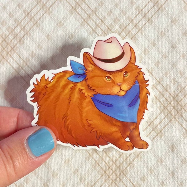 Cat Cowboy Sticker Pack - Etsy