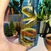 Real Snake Specimen,real Animal Specimen,clean and Complete,specimen ...