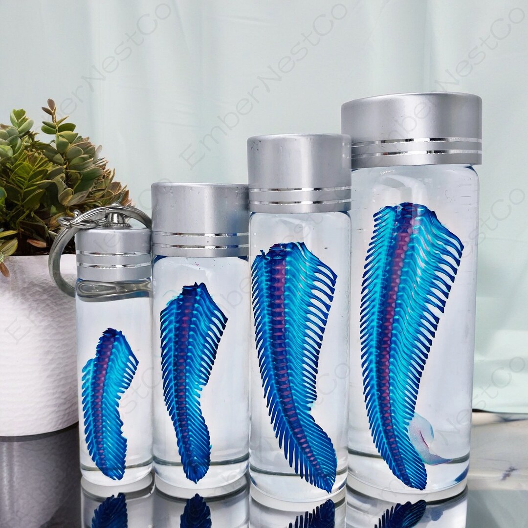 Mysterious Transparent Stained Fish Skeleton Specimen,real Stained ...