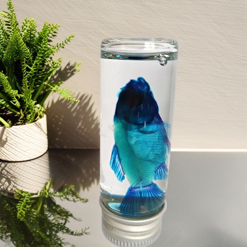 Mysterious Transparent Stained Fish Skeleton Specimen,real Stained ...