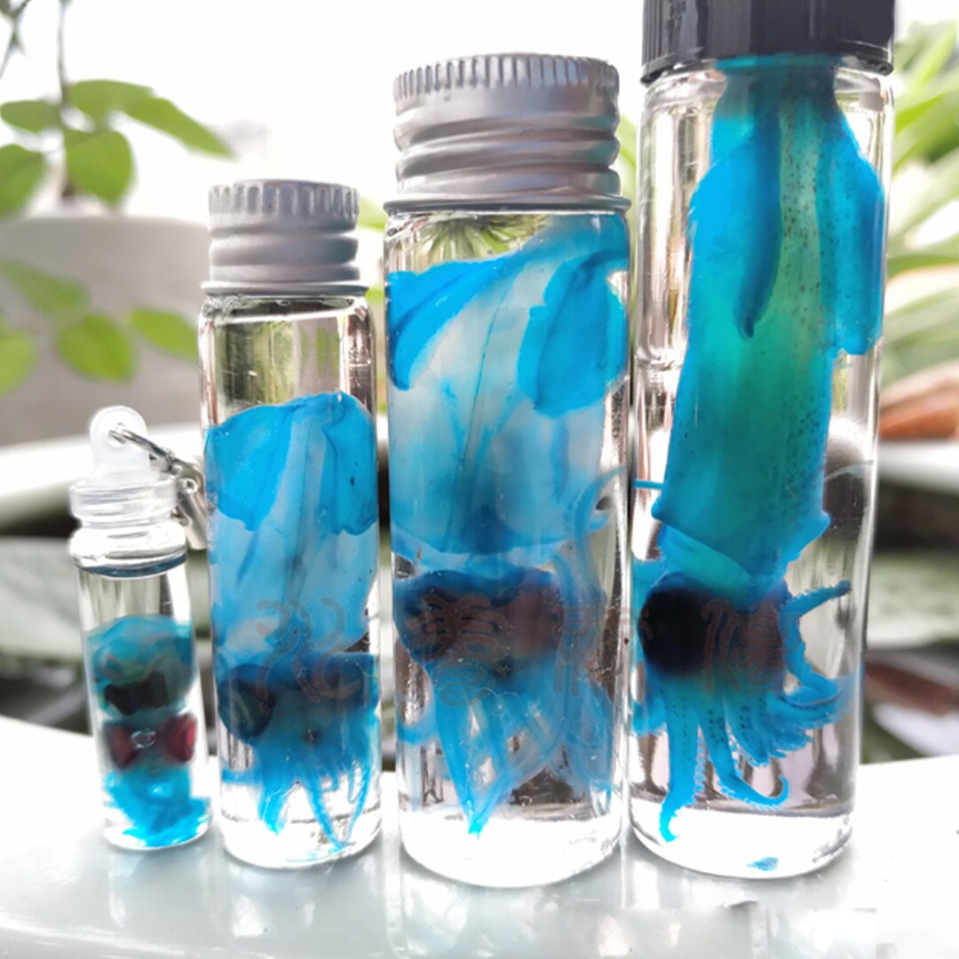 Mysterious Transparent Stained Fish Skeleton Specimen,real Stained ...