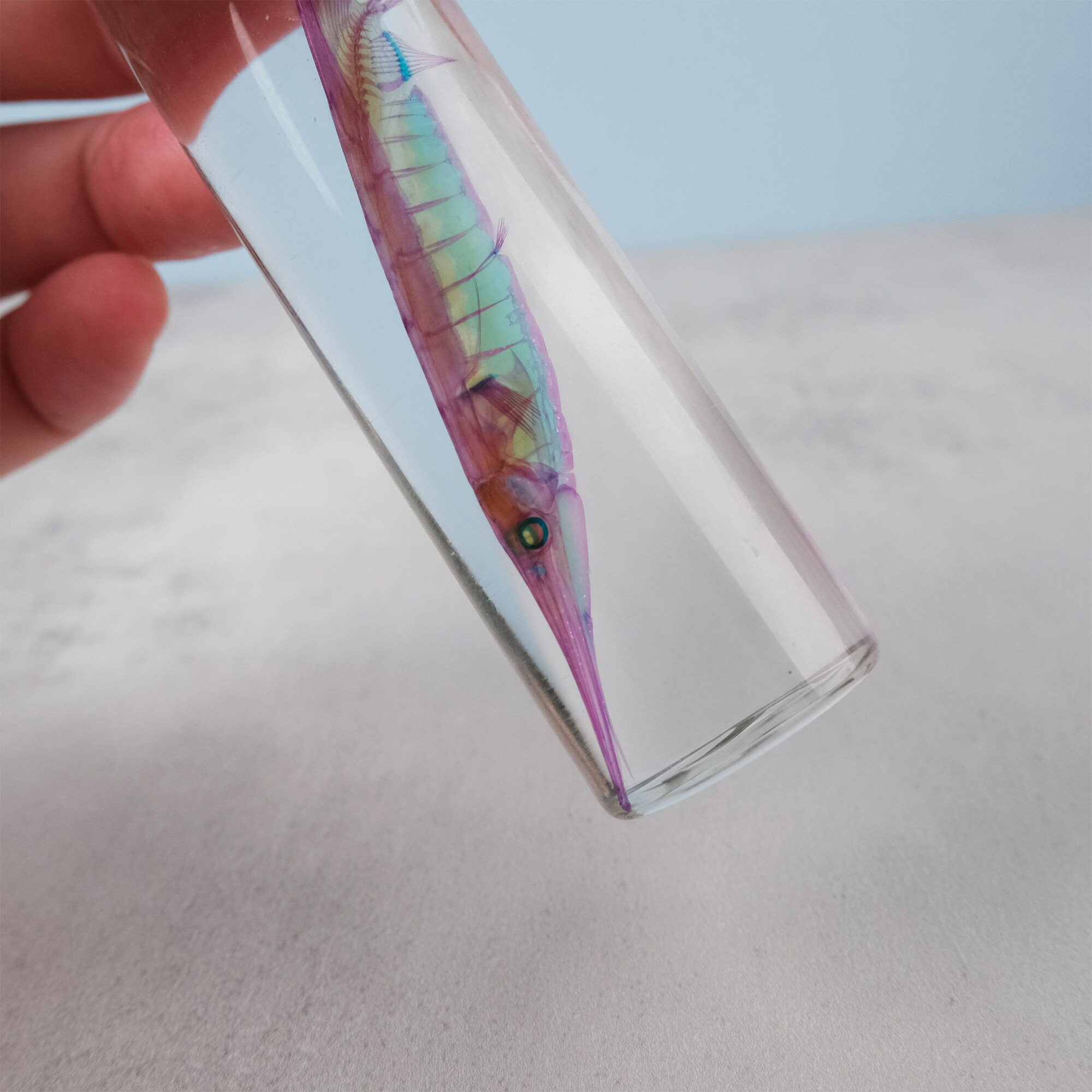 Mysterious Transparent Stained Fish Skeleton Specimen,real Stained ...