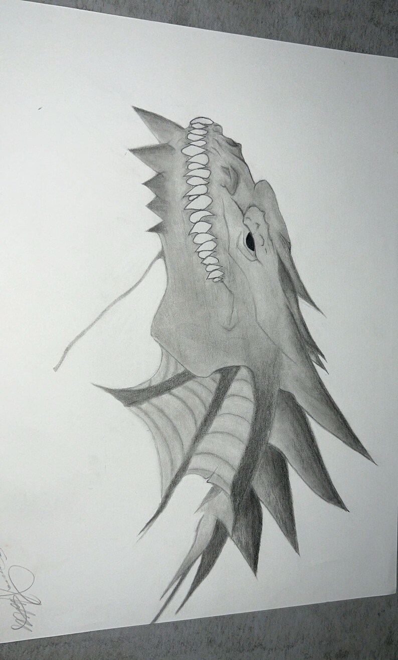 Beautiful Dragon Drawing - Etsy