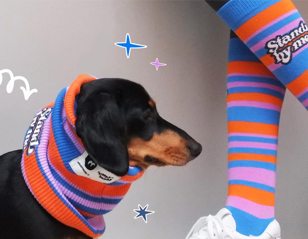 Cozy Pet Bib & Socks, Adorable Matching Gift, Cat Toy Dog Gift - Etsy