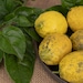 Handmade Lemon | Ceramic | Real Life Size - Etsy